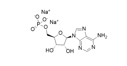 上海科泽永欣生物科技有限公司