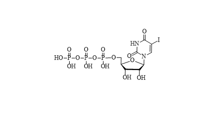 上海科泽永欣生物科技有限公司