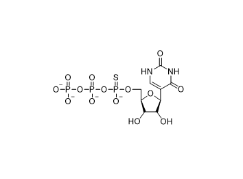 上海科泽永欣生物科技有限公司